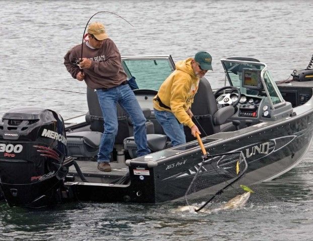 Ook voor een visboot naar Utrecht! - Visgids.nl